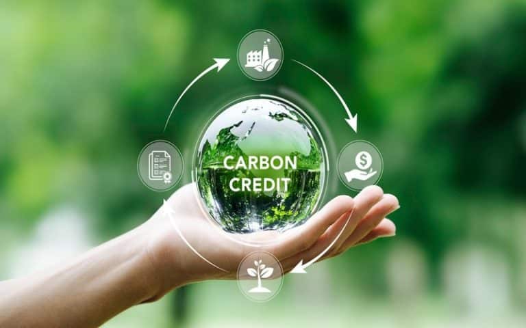 Maximising Business Value through Carbon Credits: Best Practices for ...
